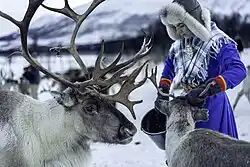 Sami Surnames - Common Last Names in Sami History - MyHeritage Wiki