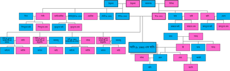Direct lineage vs. collateral relatives - MyHeritage Wiki
