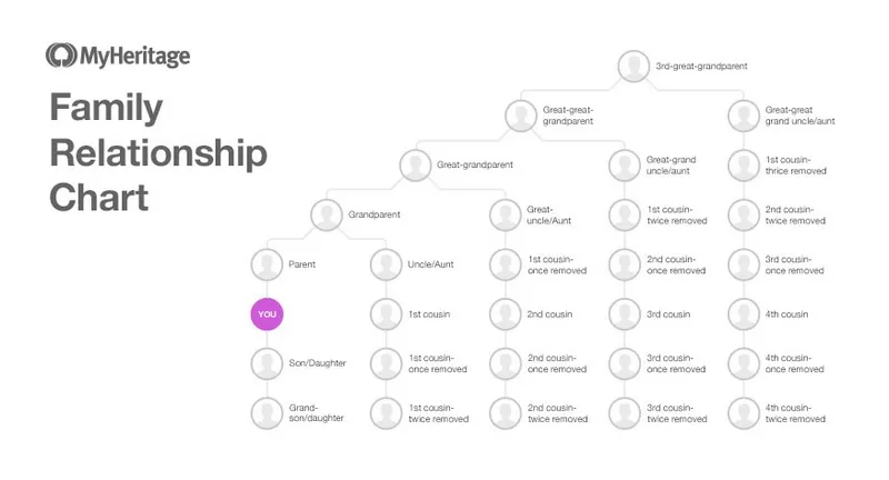 Family Relationships Explained - MyHeritage Wiki